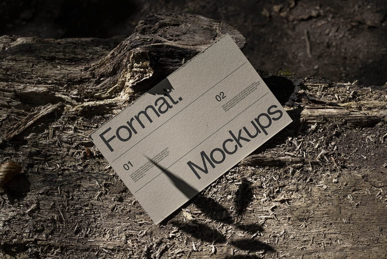 Format Card Mockup 07, Print Mockup | Supply.Family
