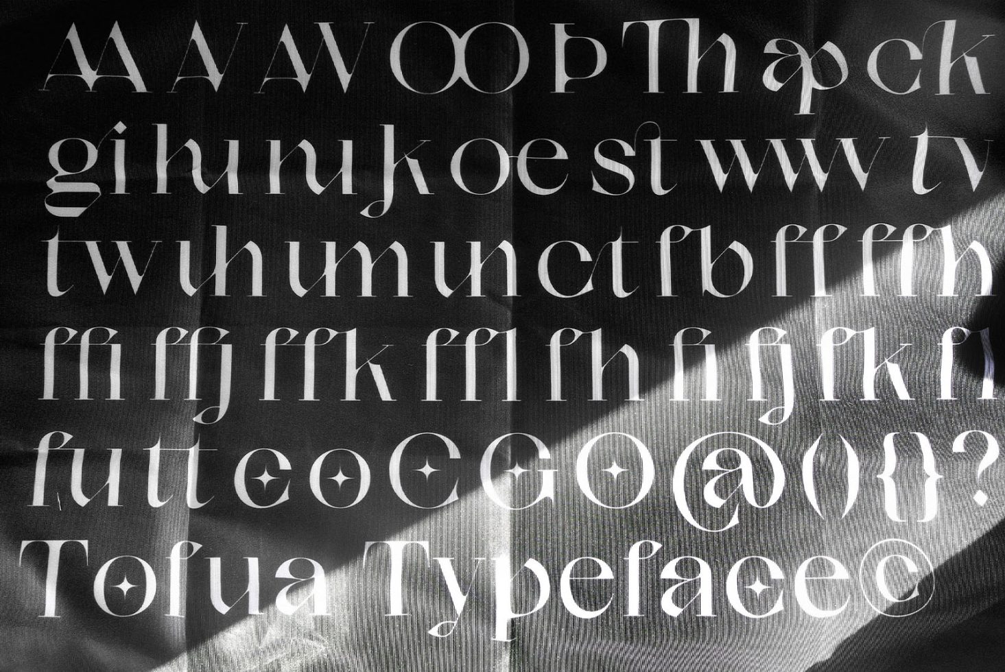 Tofua, Serif Font | Supply.Family