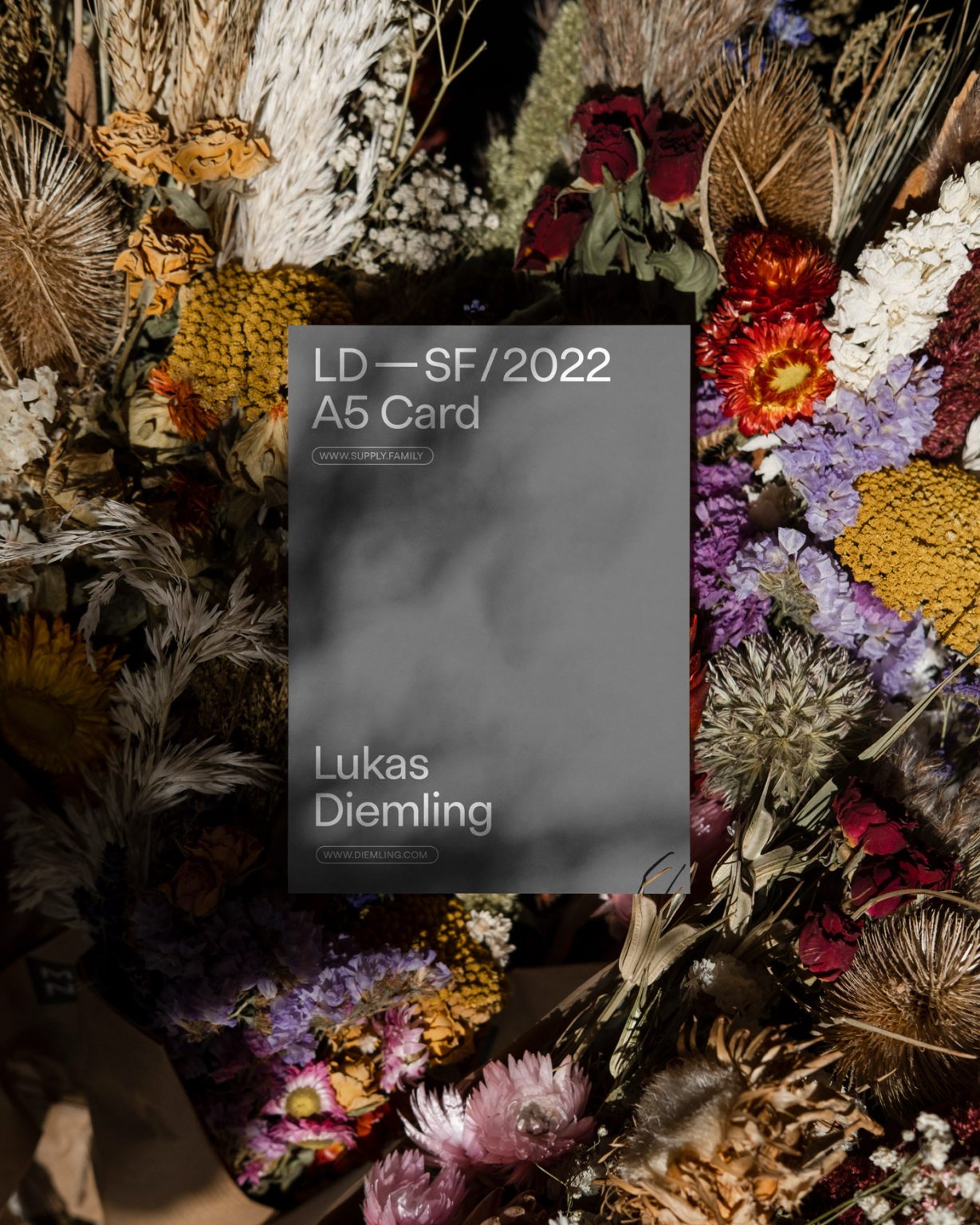 A5 Card 03 Mockup, Print Mockup | Supply.Family