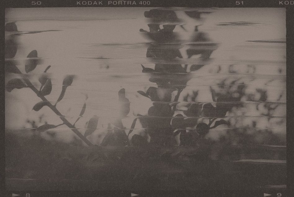 Decay Vintage Distortion Effect, Texture Graphic | Supply.Family