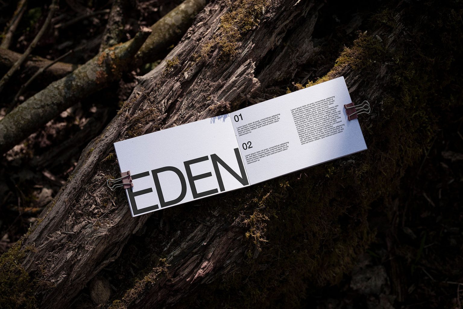 Eco Box Mockup Eden 01 — Supply.Family — Mockups, Fonts, Graphics ...