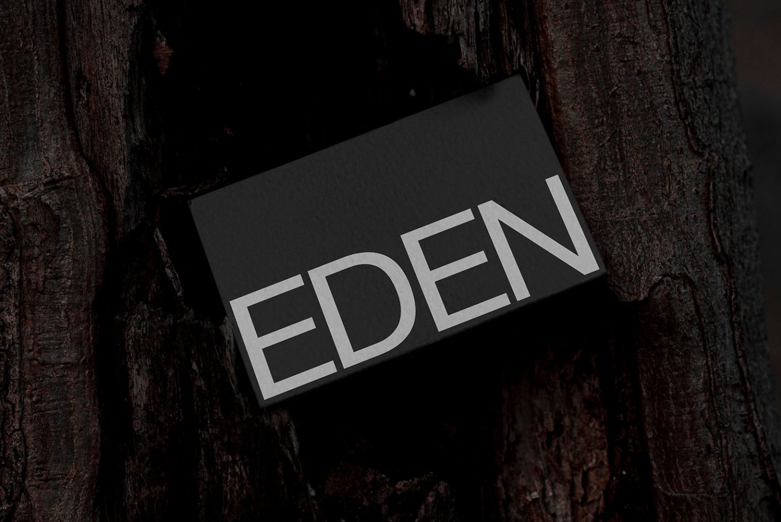 Wine Bottle WWW02 Mockup — Supply.Family — Mockups, Fonts, Graphics ...