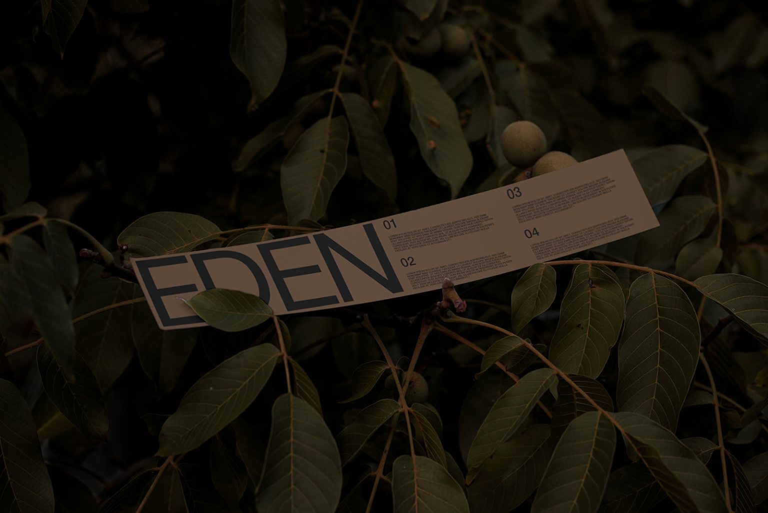 Paper Strip Mockup Eden 01, Print Mockup | Supply.Family