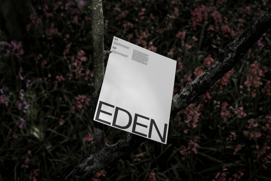 Book MS02 Mockup — Supply.Family — Mockups, Fonts, Graphics, Templates ...