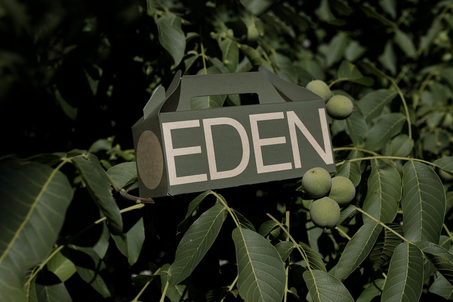 Book Mockup Eden 01 — Supply.Family — Mockups, Fonts, Graphics ...