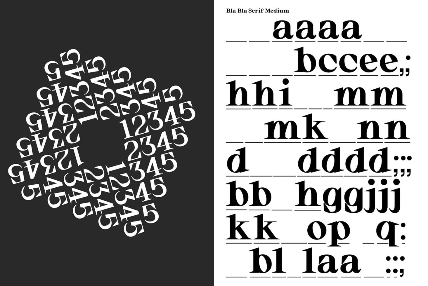 Bla Bla, Serif Font | Supply.Family