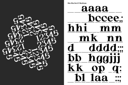 Bla Bla, Serif Font | Supply.Family