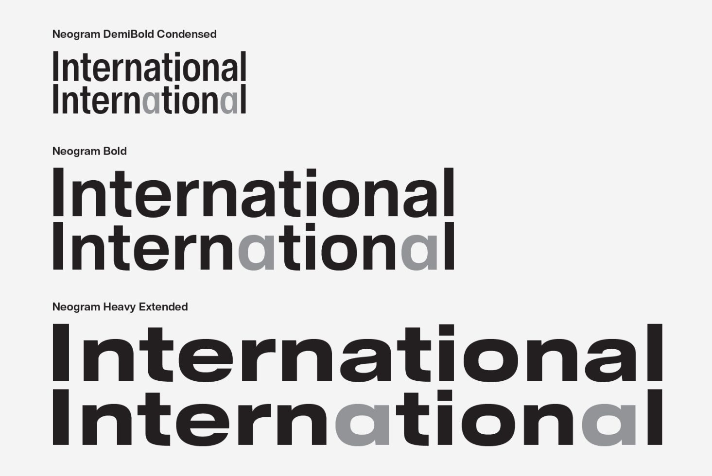 Neogram, Display Font | Supply.Family