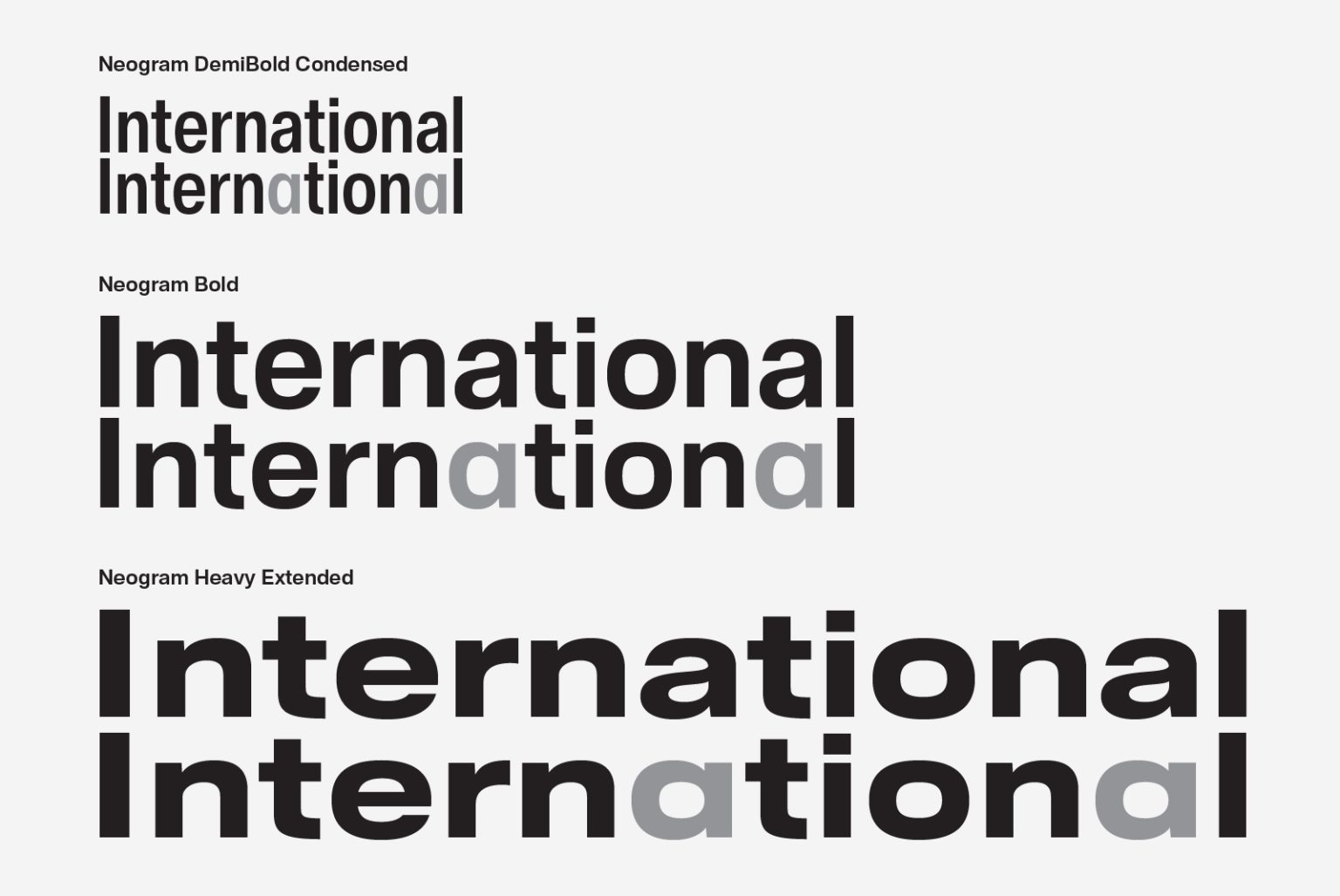 Neogram, Display Font | Supply.Family