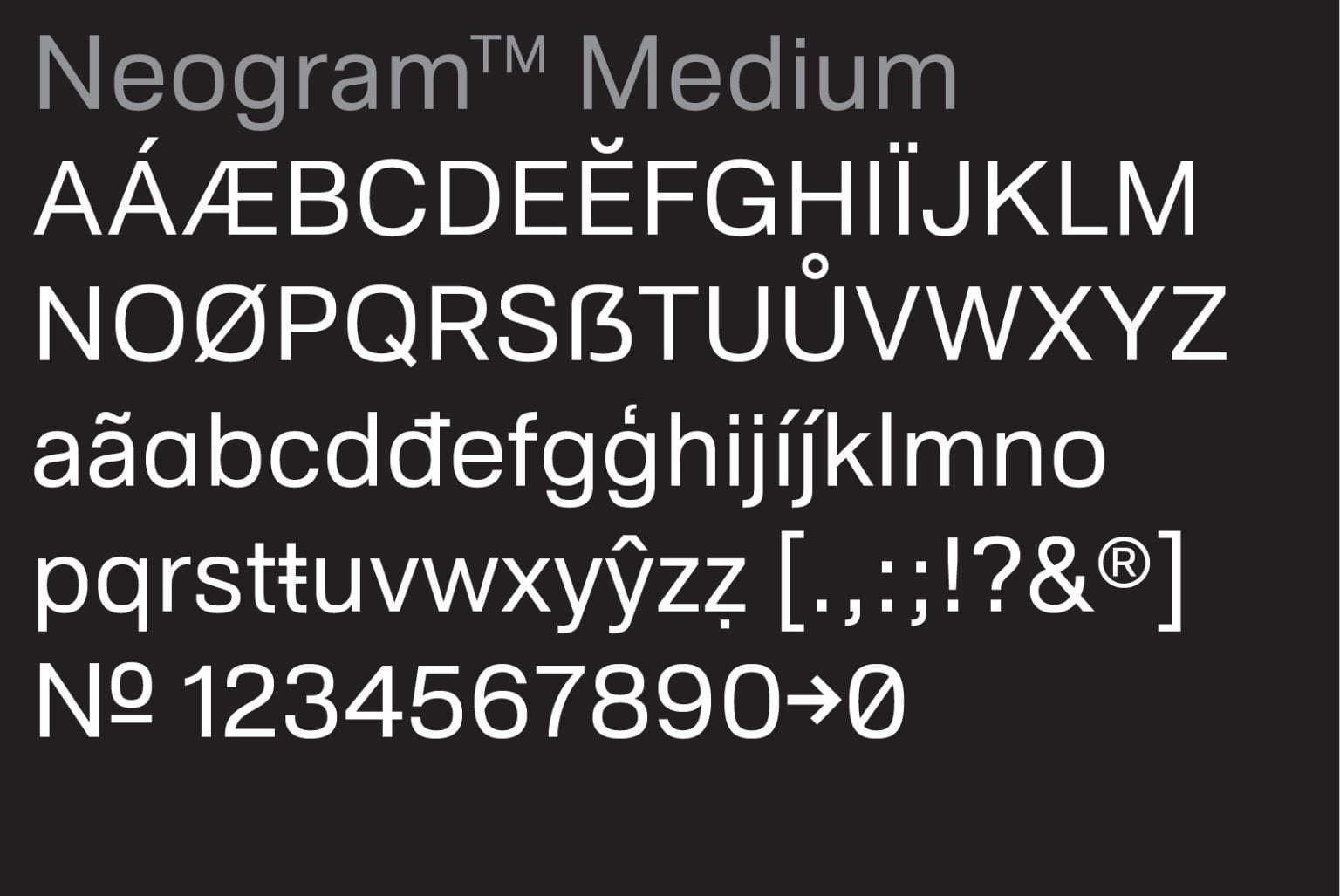 Neogram, Display Font | Supply.Family