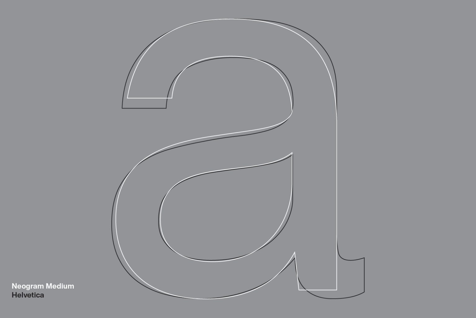 Neogram, Display Font | Supply.Family