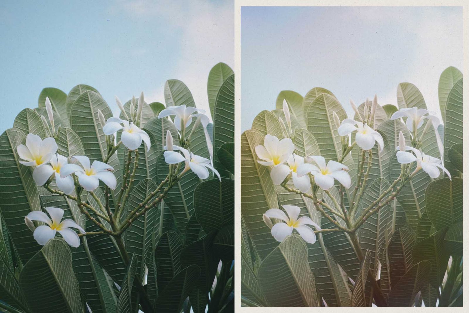 Reflection 2 – 40 Abstract Backgrounds / Filters, Texture Graphic ...