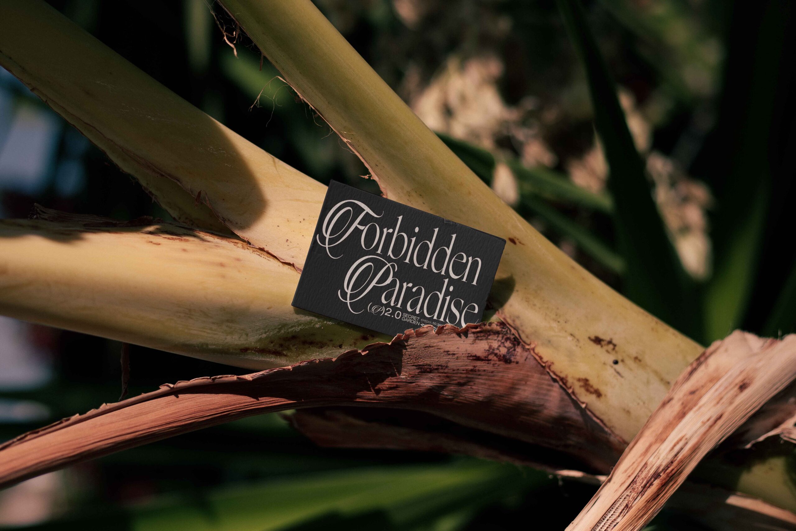 FORMAT_EDEN_02_BUSINESSCARD_21-V2-main1-scaled.jpg