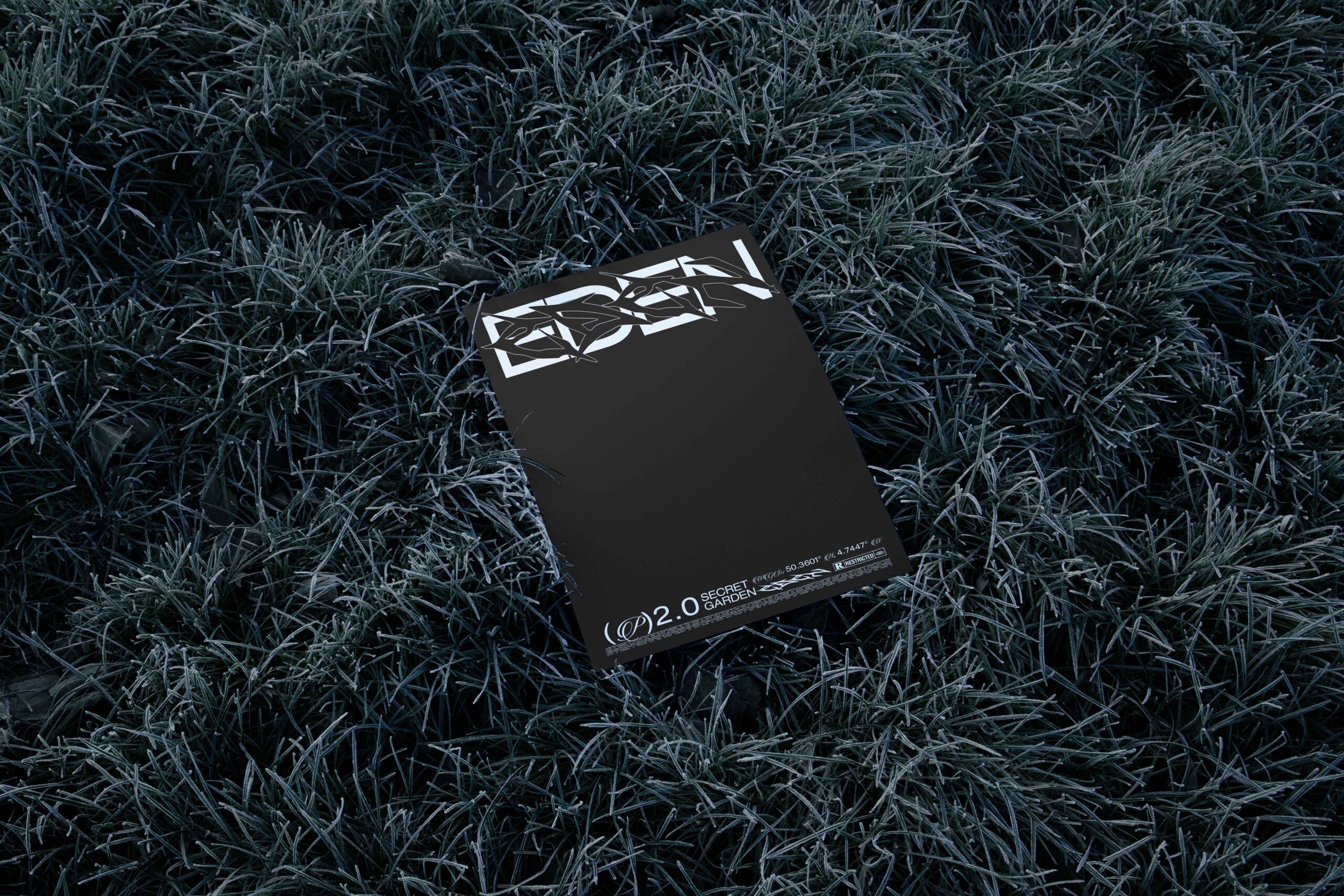 FORMAT_EDEN_02_POSTER_02-V2-main1-scaled.jpg