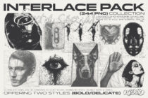 Interlace. 244 Spiderweb Graphics, Element Graphic | Supply.Family