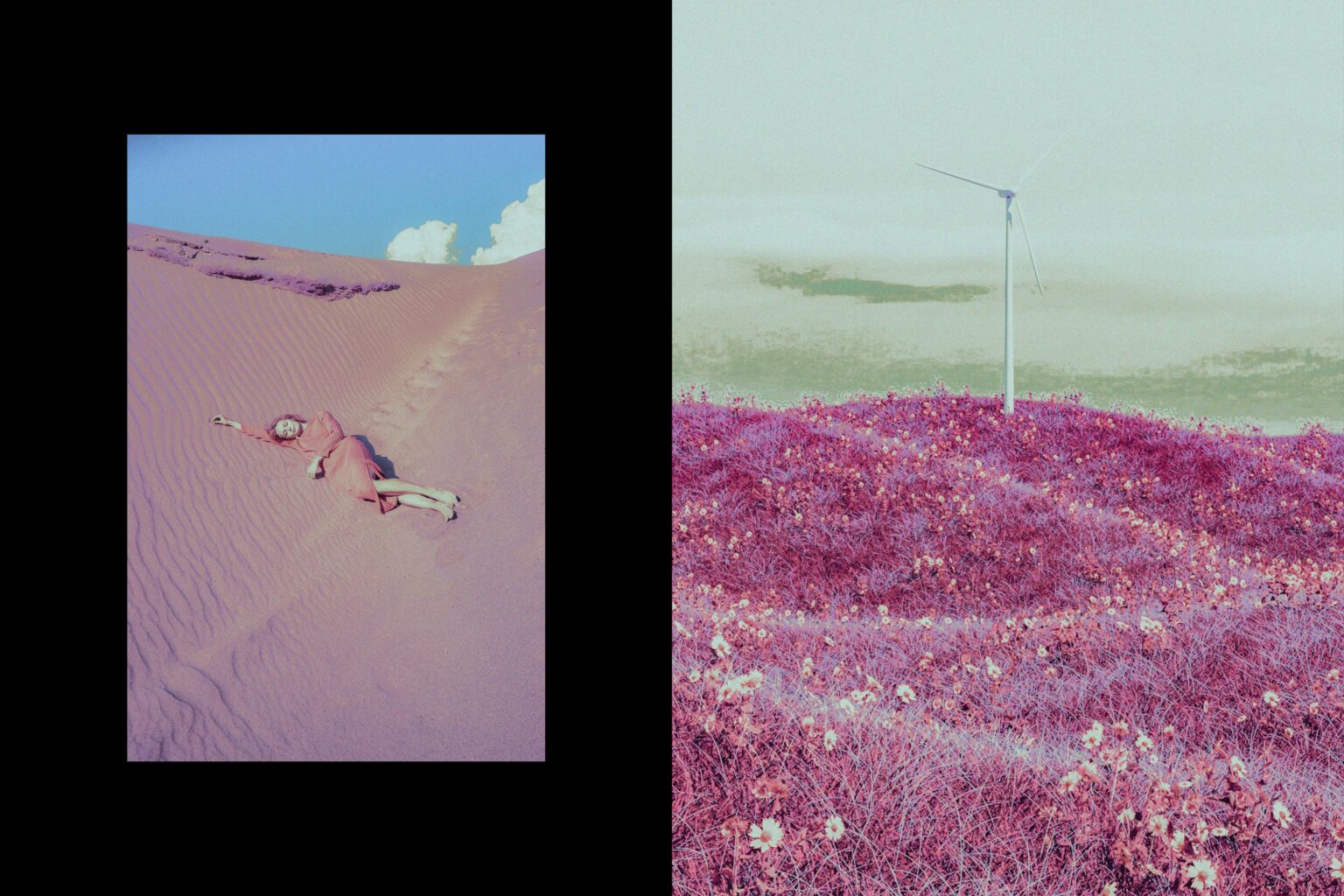 Infrared Film Effect, Photoshop Effect Graphic | Supply.Family
