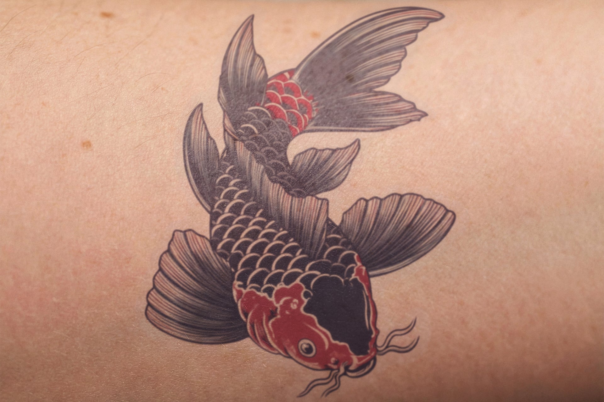Tattoo Ink Overlay Effect, Photoshop Effect Graphic | Supply.Family